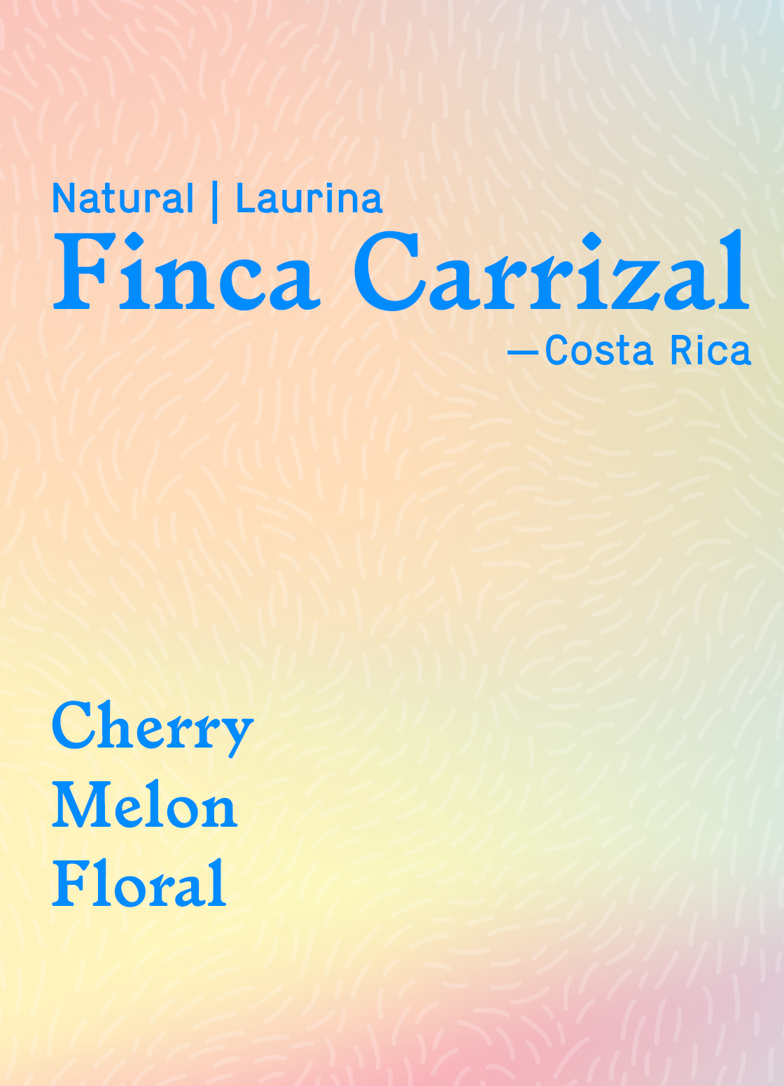 Finca Carrizal – Little Wolf Coffee